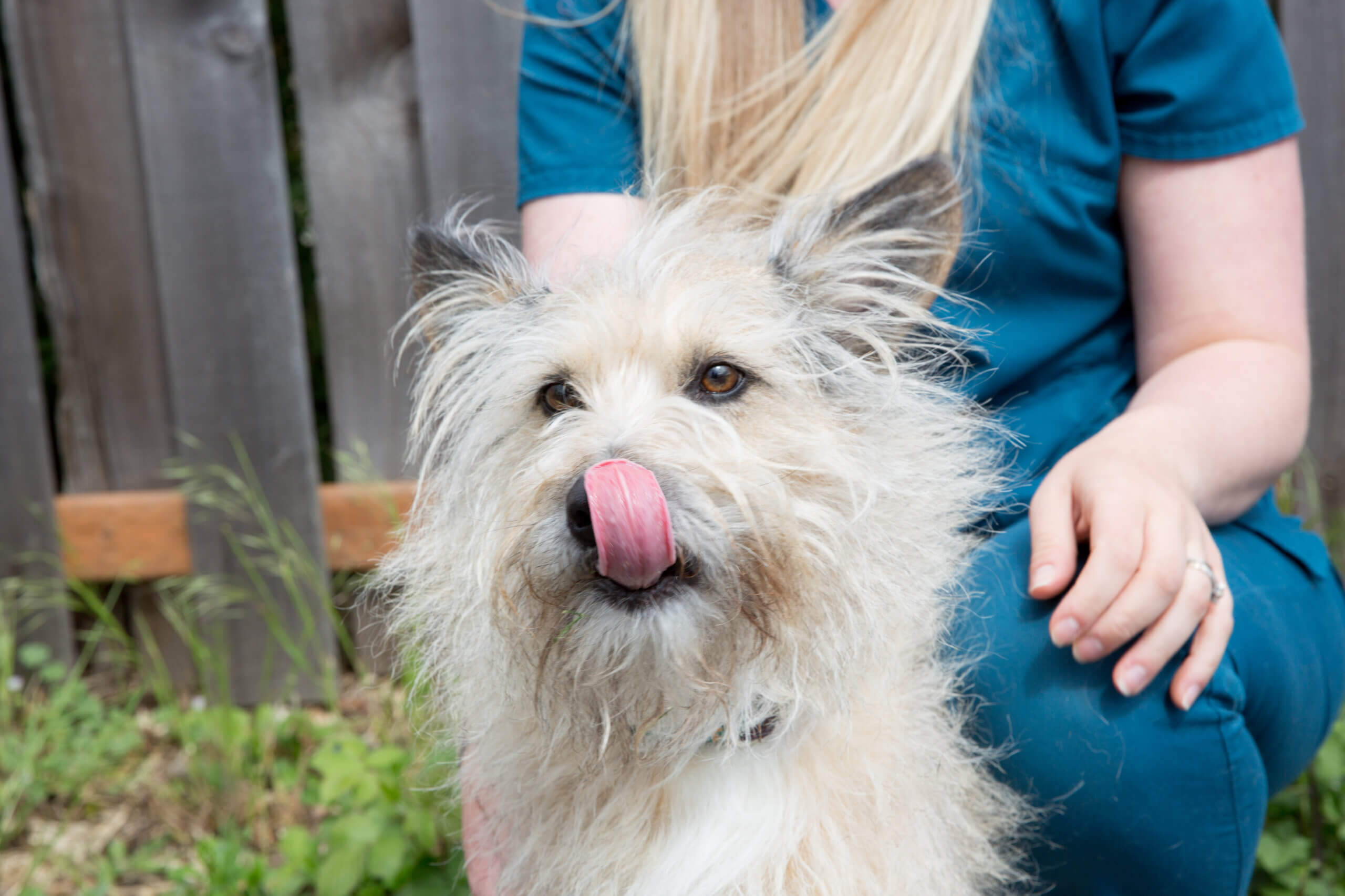 Payment Options | Mt Scott Animal Clinic